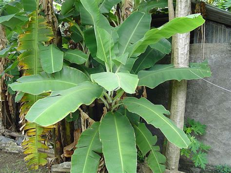 Sacred Objects In Hinduism