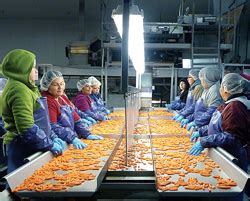 Kern Ridge Experiencing Good Growth With A Variety Of Packs Produce News