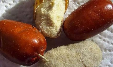 Faydaları Saymakla Bitmiyor İğde Tozu Nedir Faydaları Nelerdir