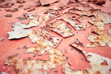 뒤뜰에 버려진 오래된 딱정벌레 클래식 자동차의 금이 간 페인트의 세부 사항 0명에 대한 스톡 사진 및 기타 이미지 0명 고물 집적소 고적 Istock