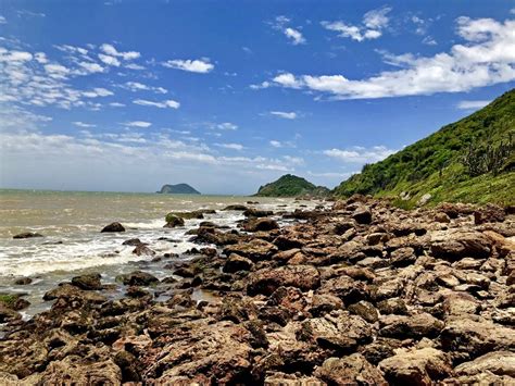 Circuito Mangue De Pedras E Ponta Do Pai Vitório Cactus