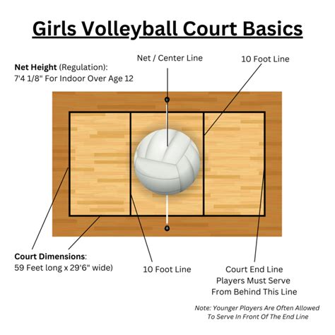 Girls Volleyball Positions Vb Player Positions Numbered Court