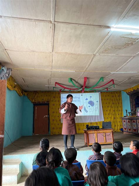 Bagging Primary School