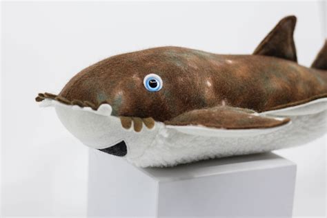 Wobbegong Pup Soft And Salty Designs