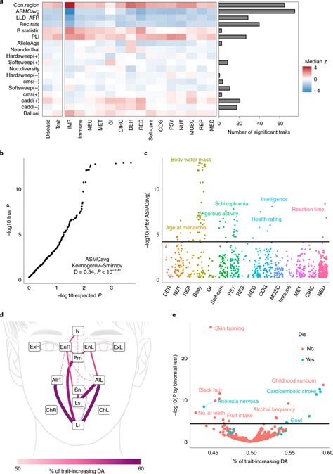Selection Pressure Analysis For Humans Since Speciation A Heatmap Of