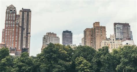 The Mini Forest Movement Northern Gardener