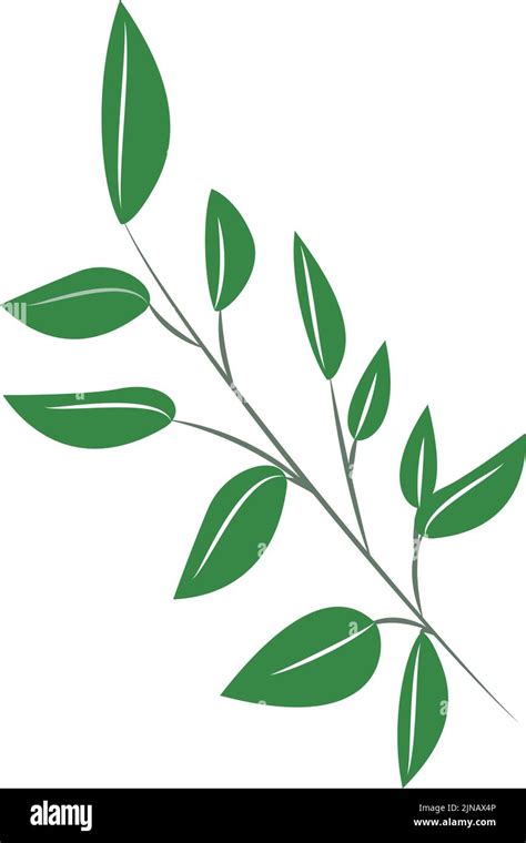 Green Leaf Frame Material Stock Vector Image And Art Alamy