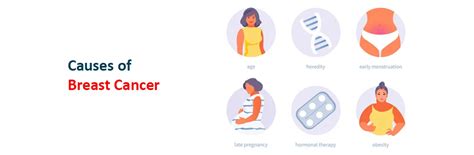 Symptoms Of Breast Cancer Causes Diagnosis And Treatment