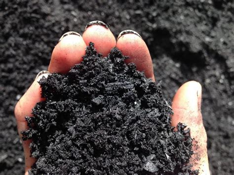 Biochar At Best Price In India