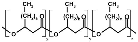 Natural Polyhydroxyalkanoates—an Overview Of Bacterial Production Methods