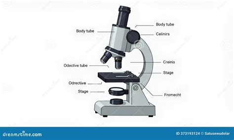 Parts Of A Microscope Labeled Body Tube
