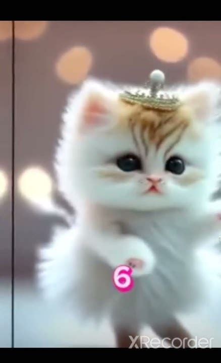 Eong Eong Shortvideos Youtube