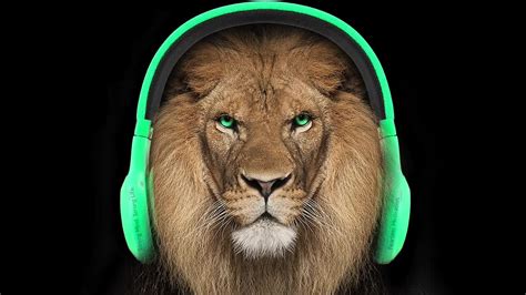 Video Reece Freeman Posted On Linkedin