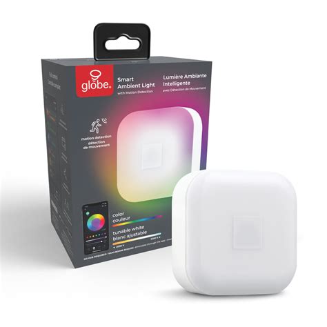 Maison Intelligente Globe Electric