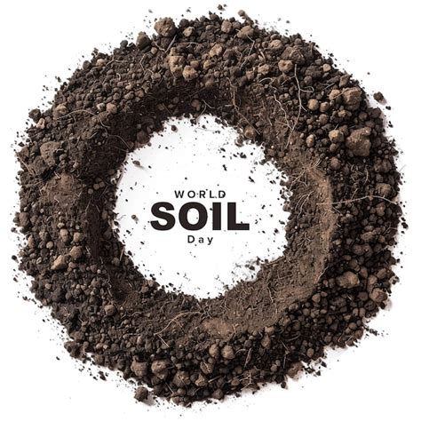 23000 Healthy Soil Design Pictures