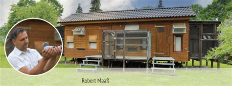 Robert Maaß Mit 32 Jungtauben Zum Sachsenmeister Brieftauben Marktde