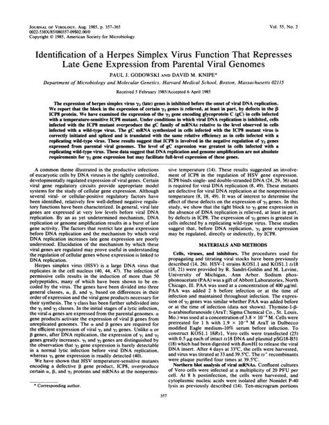 Pdf Identification Of A Herpes Simplex Virus Function That Represses