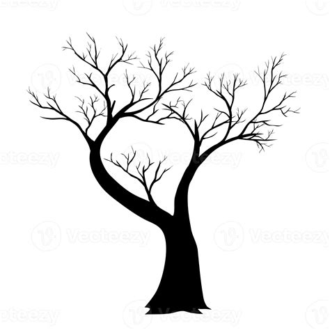 Leafless Tree Silhouette 12981526 Png