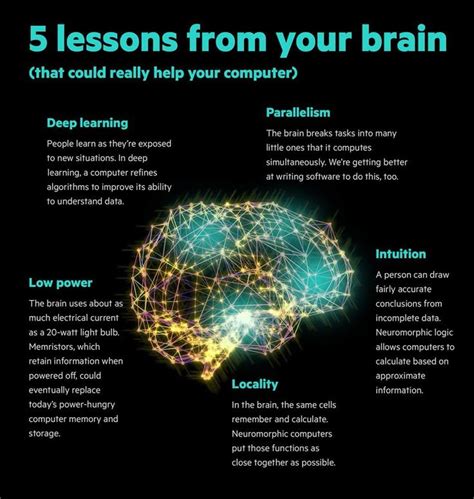 Best 13 Dermatoglyphics Multiple Intelligence Test In Uae Dmit Test