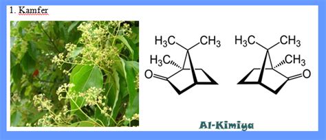 Al Kimiya Monoterpenoid