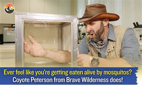 Chiggerex 2x Power First Aid Medicated Ointment For Chiggers Mosquito Bites Ticks