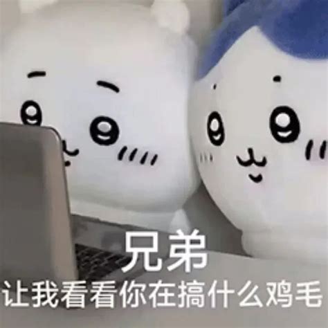 可爱玩偶表情包：兄弟，让我看看你在搞什么鸡毛 表情上新，抓紧领取！表情包图片动图 求表情网斗图从此不求人