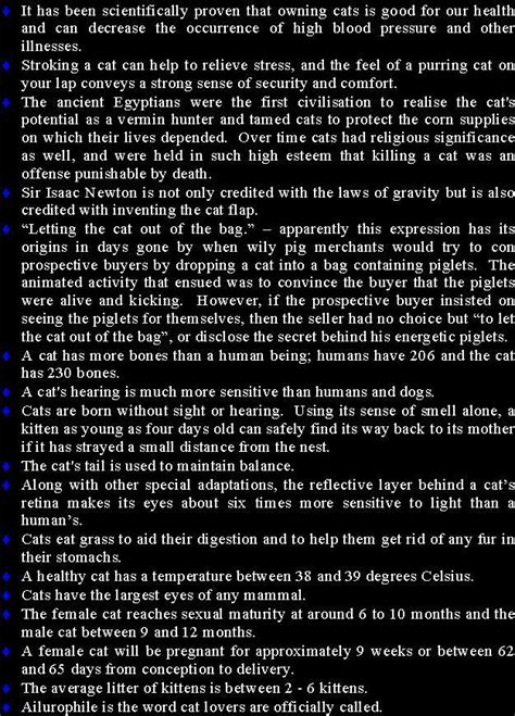 Cat Facts And Tidbits Page 1
