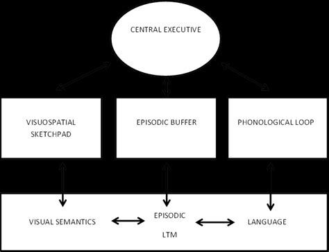 Baddeleys 2000 Model Of Working Memory Download Scientific Diagram