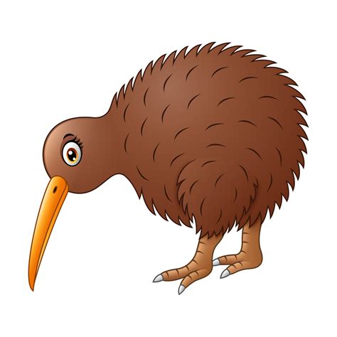 Cute Kiwi Bird Cartoon 11813872 Vector Art At Vecteezy