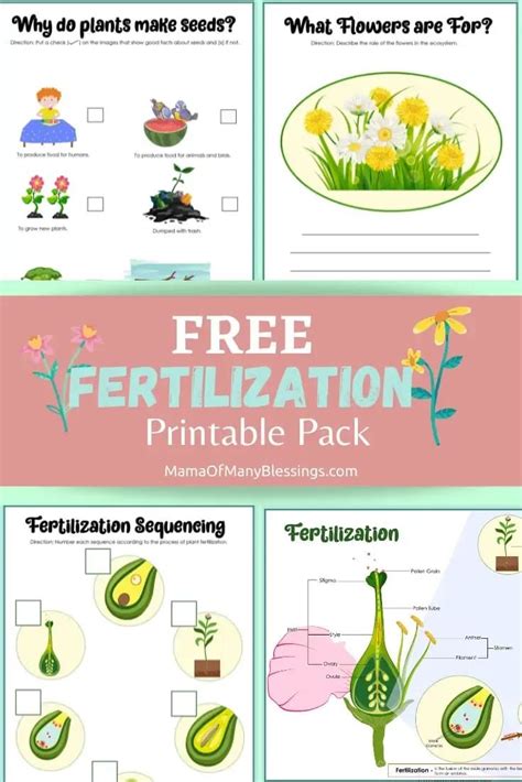 Free Plant Fertilization Printables