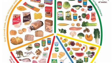 Different Types Of Food Groups
