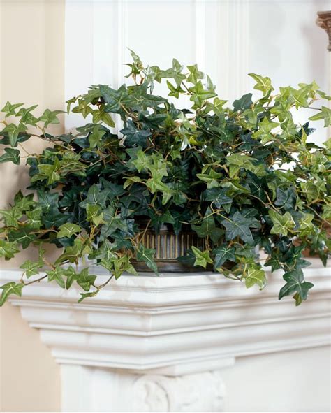 Using Ivy In Flower Arrangements At Miranda Christie Blog
