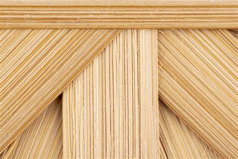 Ayous Guide Complet Sur Le Bois Dayous Woodpartners