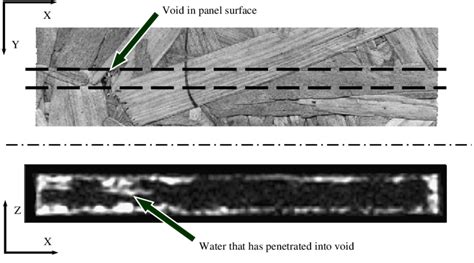 A Photograph Of A Panel Surface Xy Plane And A Cross Sectional Nmr Download Scientific