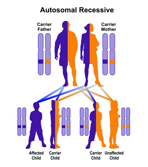 Recessive Gene Disorders
