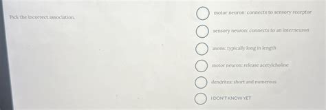 Solved Pick The Incorrect Associationmotor Neuron Connects
