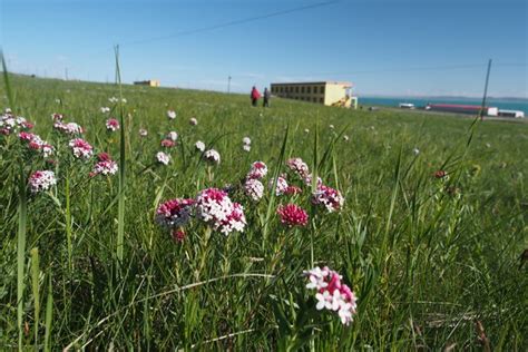 Constance Tan Flickr