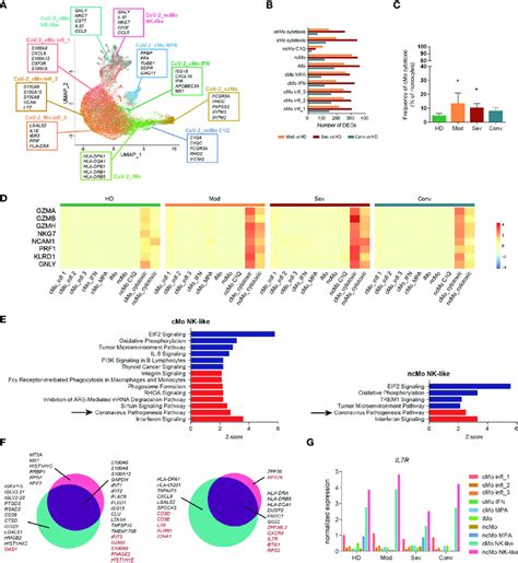 Cytotoxic Monocytes Are Involved In Covid 19 A Umap Projection Of