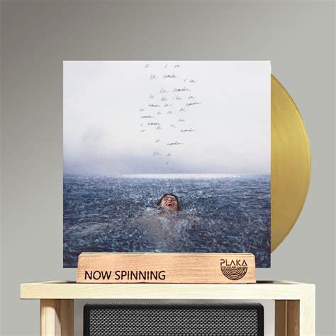 Shawn Mendes Wonder Vinyl Lp Plaka On Carousell