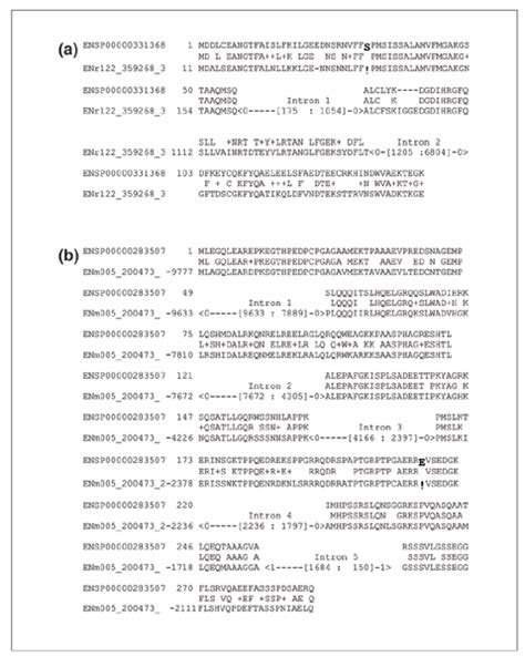 Two Pseudogenes Inconsistent With Gencode Gene Annotation A A
