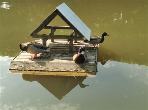 Zss Nr 2 Przymorze Małe Added A Zss Nr 2 Przymorze Małe