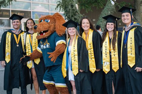 Setter Connect About