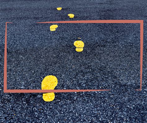 Trouver Sa Voie Après Le Bac Formations Et Conseils