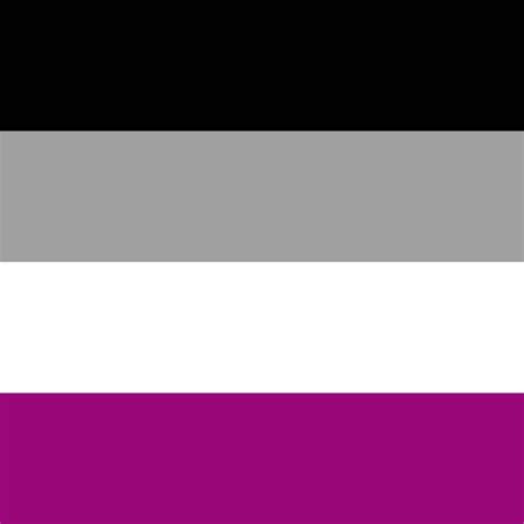 Asexual Pride Flag National Capital Flag