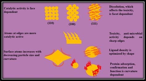 Geometrical Shapes Affecting Catalytic Activity Of Nps Download Scientific Diagram