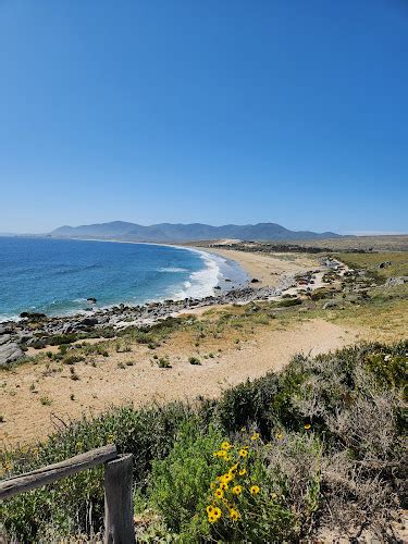 119 Opiniones De Playa Morrillos Camping En Coquimbo Coquimbo