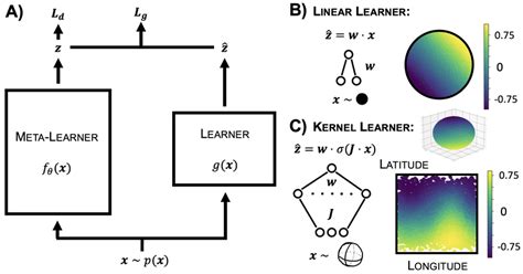 Meta Learning The Inductive Bias A The Meta Learner Labels A Dataset