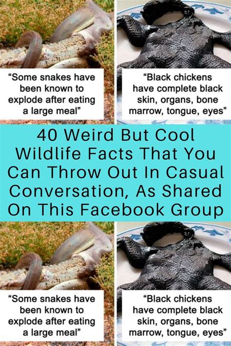 Deforestation Facts Artofit