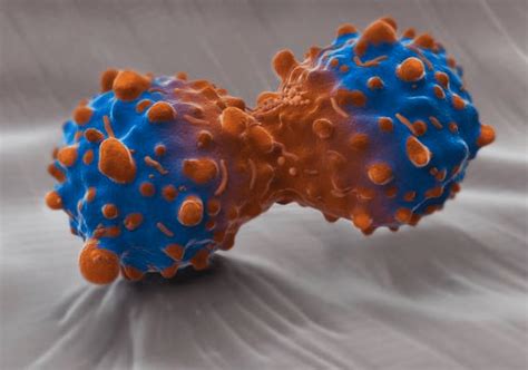 Member Spotlight Thewell Bioscience Armi