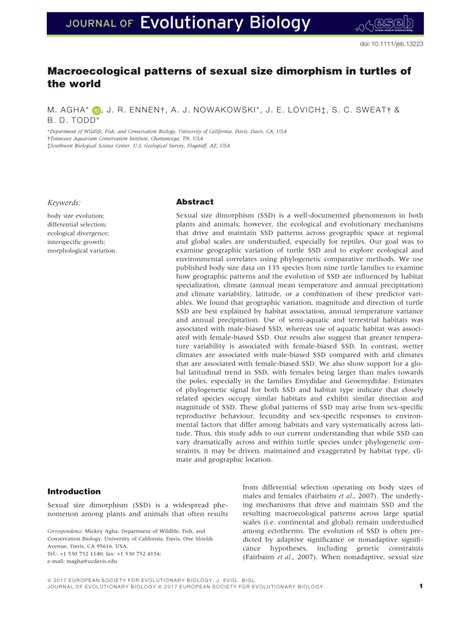 Pdf Macroecological Patterns Of Sexual Size Dimorphism In Turtles Of